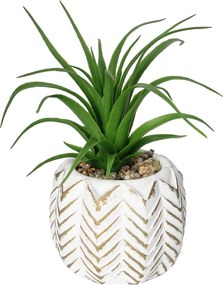 Dekorace Aloes II 14cm