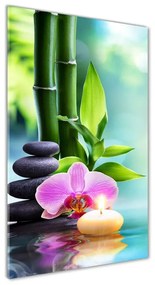 Wallmuralia Vertikální Fotoobraz na skle Orchidej a bambus 50x100