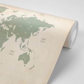 Samolepící tapeta decentní mapa světa