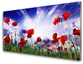 akrylový obraz Máky Rostlina Příroda 125x50 cm