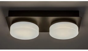 Rabalux 75002 - LED Stropní koupelnové svítidlo ATTICHUS 2xLED/5,5W/230V IP44