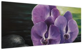 Obraz květů orchideje (100x40cm)