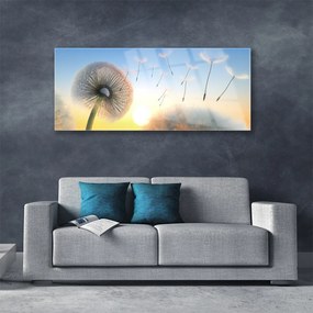 Plexisklo-obraz Pampeliška Květiny 125x50 cm