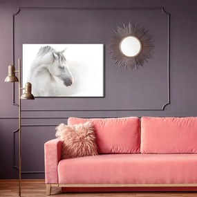 Obraz Bílý Kůň V Mlze Nedostatek Nedostatek Přírodní plátno 90x60