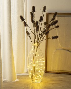 Okrasný bodlák  110cm red beige