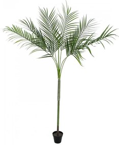 Umělá květina - Areca palma s velkými listy, 180 cm