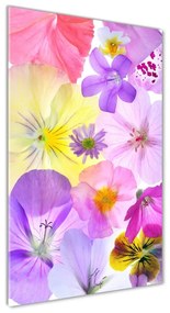 Wallmuralia Vertikální Fotoobraz na skle Barevné květiny 50x100