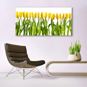 Plexisklo-obraz Tulipány Květiny Příroda 120x60 cm