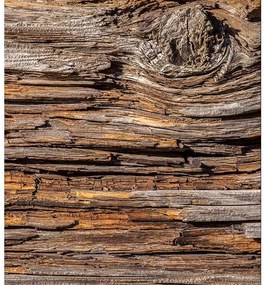 Vliesová fototapeta Kůra stromu 225 x 250 cm + lepidlo zdarma / MS-3-0159 vliesové fototapety na zeď DIMEX