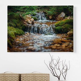 Obraz na plátně - Malý vodopád s šiškou a mechem FeelHappy.cz Velikost obrazu: 60 x 40 cm