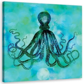 Gario Obraz na plátně Zelená a modrá chobotnice - Andrea Haase Rozměry: 30 x 30 cm