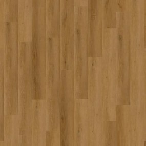 Vinylová plovoucí podlaha Karndean Conceptline Acoustic Click 30122 Dub zlatý 2,15 m²
