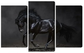 Vícedílný obraz Černý Kůň Ve Cvalu Nedostatek Nedostatek Přírodní plátno 150x100