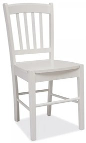 Jídelní židle Penny / bílá