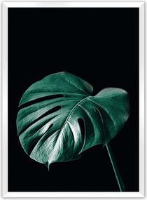 Plakát Dark Monstera