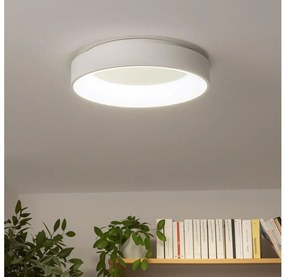 Brilagi - LED Stmívatelné stropní svítidlo FALCON LED/40W/230V 3000-6500K + DO