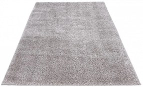 Obsession koberce Kusový koberec Emilia 250 silver ROZMĚR: 60x110