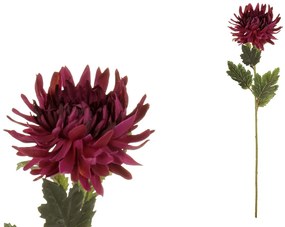 Chryzantéma jednohlavá, barva tm.fialová UKK208-PUR