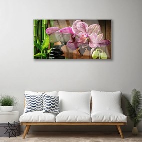 Obraz na skle Kvetiny Bambus Rostlina 140x70 cm