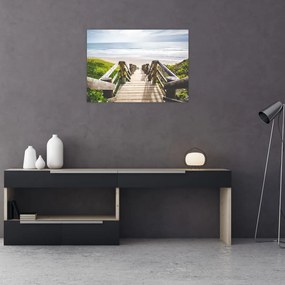 Skleněný obraz - Vstup na pláž (70x50 cm)