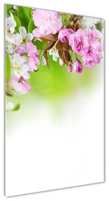 Wallmuralia Vertikální Fotoobraz na skle Jarní květiny 50x100