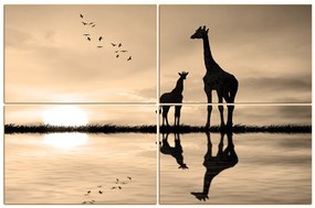 Obraz na plátně - Žirafy silueta 1919FD (120x80 cm)