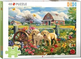 EUROGRAPHICS Puzzle Connecting Pieces: Štěňata na jaře / 48 dílků / ve
