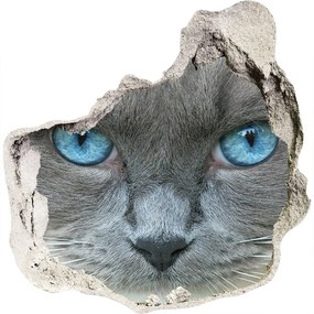 Wallmuralia Díra 3D fototapeta na stěnu Koška modré oči 75x75 cm