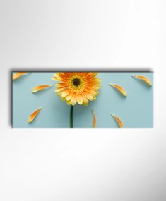 Malvis ® Obraz jednoduchá a veselá gerbera ROZMĚR (šířka x výška): jednodílný obdélník 150x60 cm