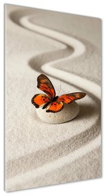 Wallmuralia Vertikální Foto-obraz na skle Kámen zen a motýl 50x100