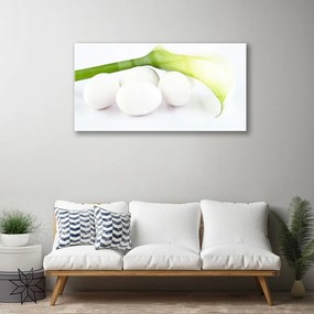 akrylový obraz Vajíčka 100x50 cm