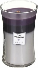 WoodWick Trilogy velká svíčka Amethyst Sky 609.5 g