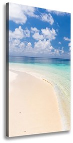 Wallmuralia Vertikální Foto obraz na plátně Pláž Maledivy 50x100