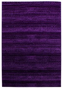 Tmavě fialový koberec 80x150 cm Plus – Ayyildiz Carpets
