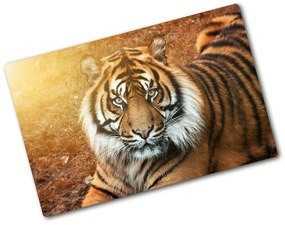 Wallmuralia Kuchyňská deska skleněná Bengálský tygr 80x52 cm