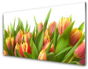 Obraz na skle Tulipány Květiny Rostlina 120x60 cm