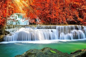 DIMEX | Samolepicí vliesová fototapeta na zeď Vodopád v podzimním lese MA-5-3261 | 375 x 250 cm | zelená, modrá, červená, bílá