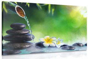 Obraz harmonie v Zen zahrada - 120x80 cm