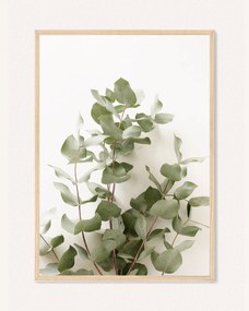 Oboustranný plakát Botanika | 30 x 42 cm | DP351489