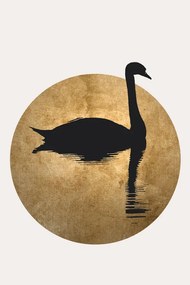 Ilustrace The Swan, Kubistika