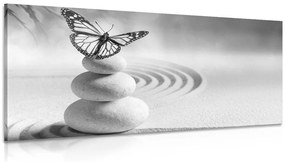 Obraz rovnováha kamenů a motýl v černobílém provedení