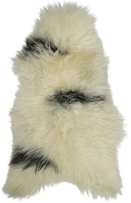 Kožešina islandské ovce vícebarevná, 110 cm