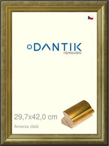 DANTIK rámeček 29,7x42 | ANIVERSA zlatá (Plexi Čiré)