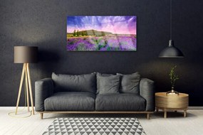Obraz na skle Louka Květiny Hory Příroda 125x50 cm