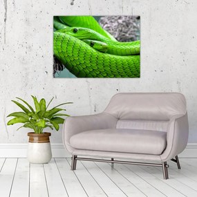 Skleněný obraz zelených hadů (70x50 cm)