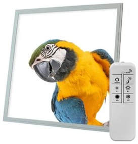 Stmívatelný LED panel s motivem papoušek 60x60cm 40W 4200lm CCT, s dálkovým ovládáním
