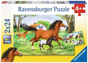 Ravensburger puzzle svět koní 2x24 dílků