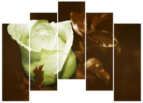 Obraz růže se zeleným květem (125x90 cm), 40 dalších rozměrů