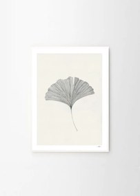 Plakát 50x70 cm Ginkgo Leaf – Ana Frois – The Poster Club