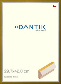 DANTIK rámeček 29,7x42 | EVOQUE žlutá (Plexi Čiré)